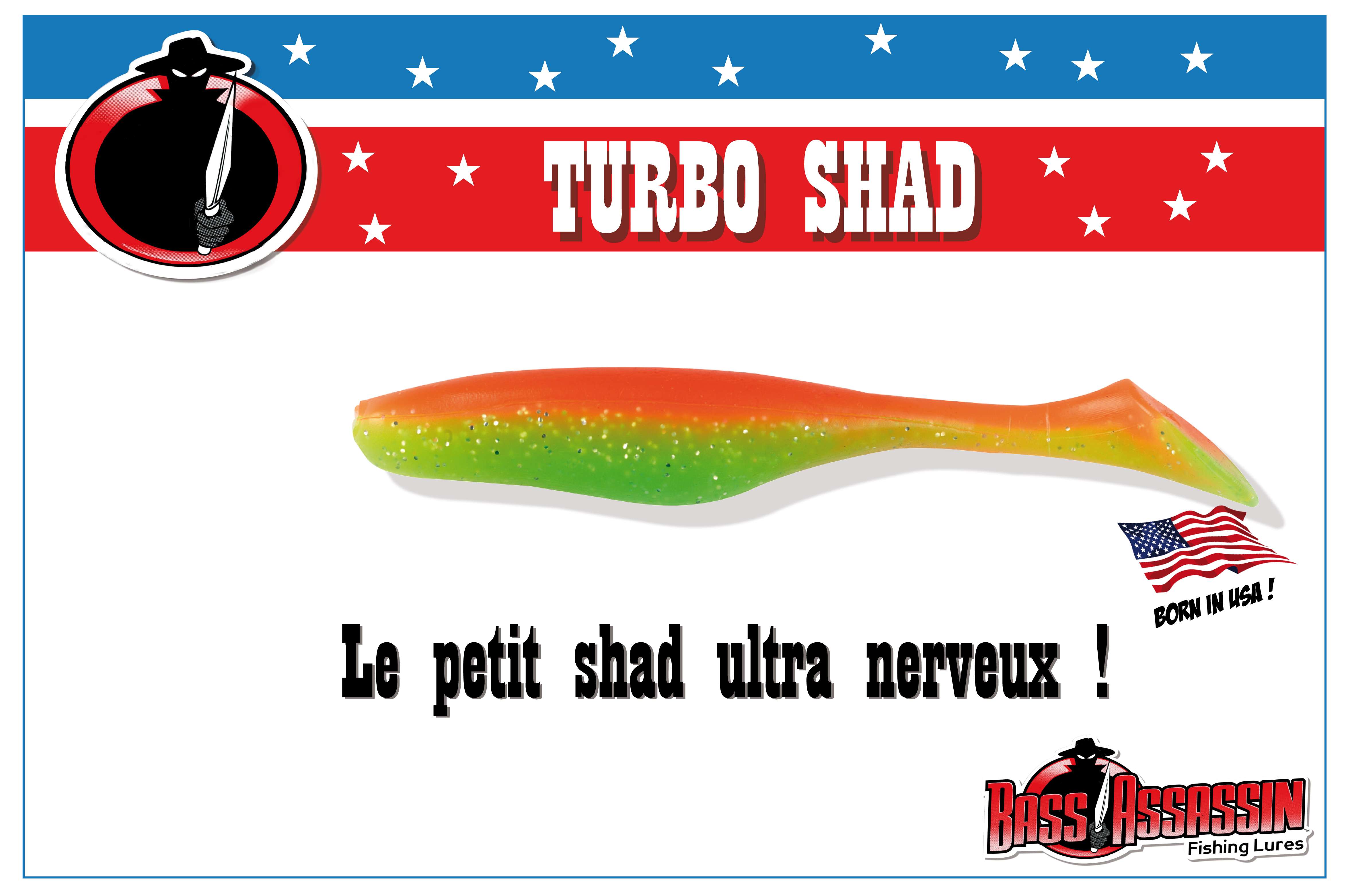 Turbo Shad : petit mais…ultra nerveux ! - Blog Flashmer